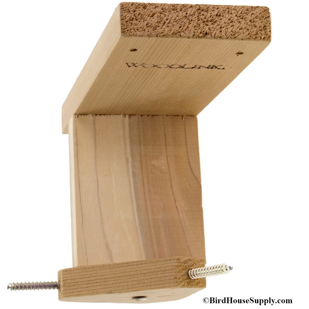 Spinning squirrel feeder cut from natural reforested cedar