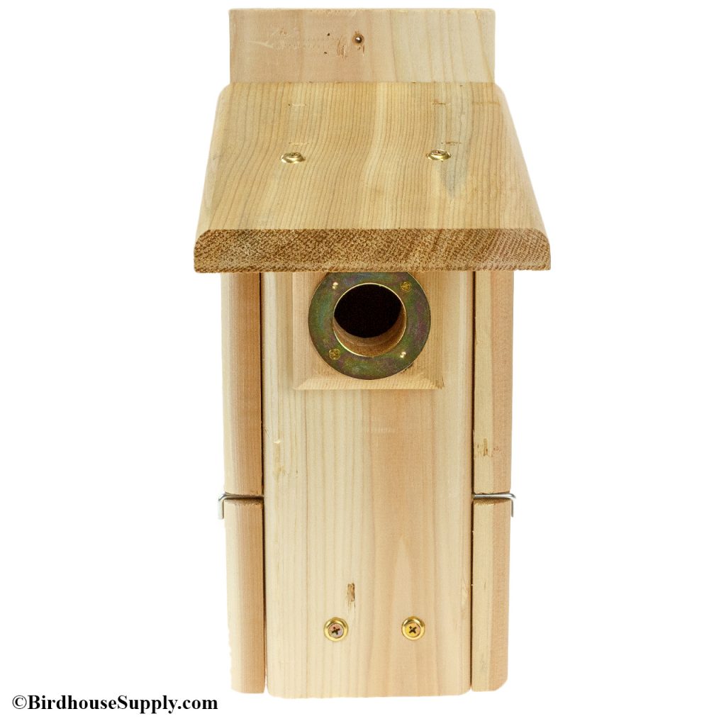 Songbird Essentials Ultimate Western Bluebird House