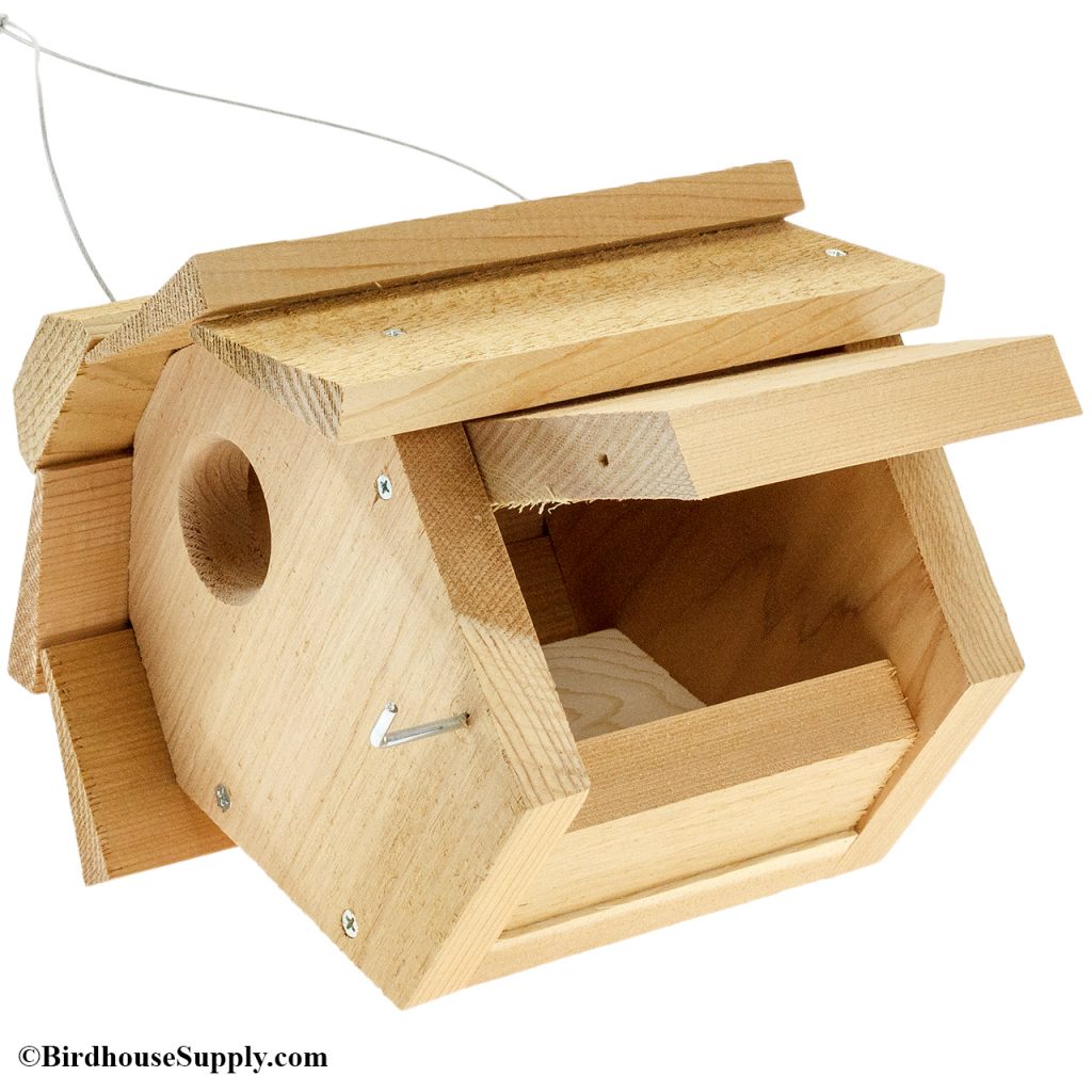 Songbird Essentials All-Purpose Carolina Wren House