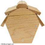 Songbird Essentials All-Purpose Carolina Wren House
