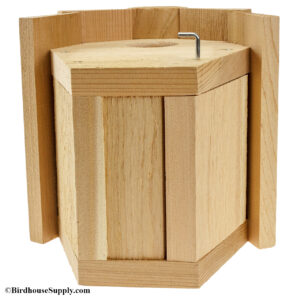 Songbird Essentials All-Purpose Carolina Wren House