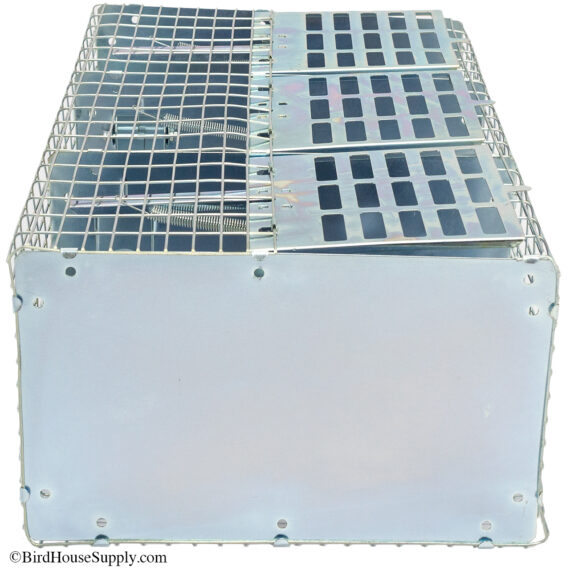 Songbird Essentials Rust-Proof Humane Sparrow Trap