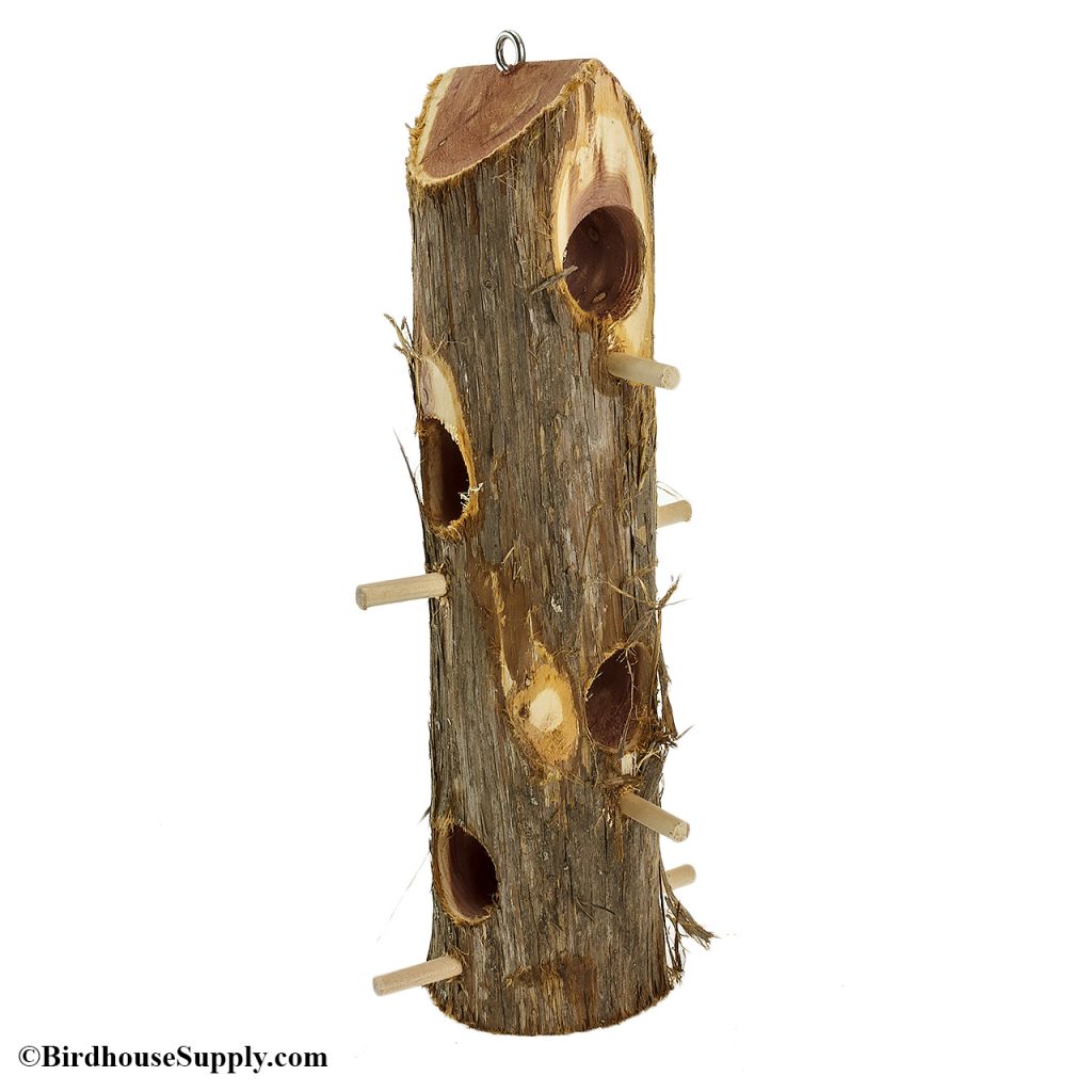 Songbird Essentials Pre-Drilled Suet Log with Perches