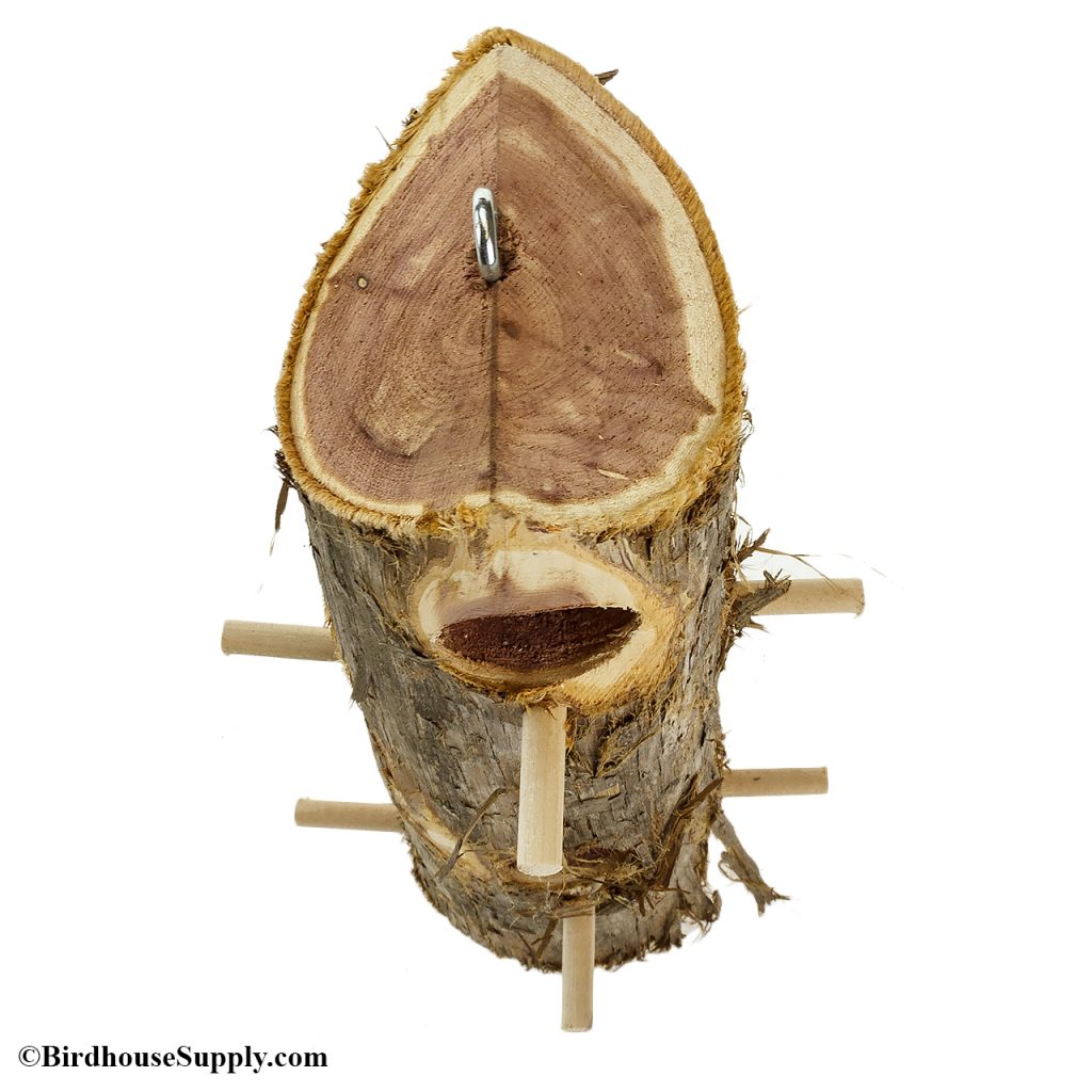 Songbird Essentials Pre-Drilled Suet Log with Perches