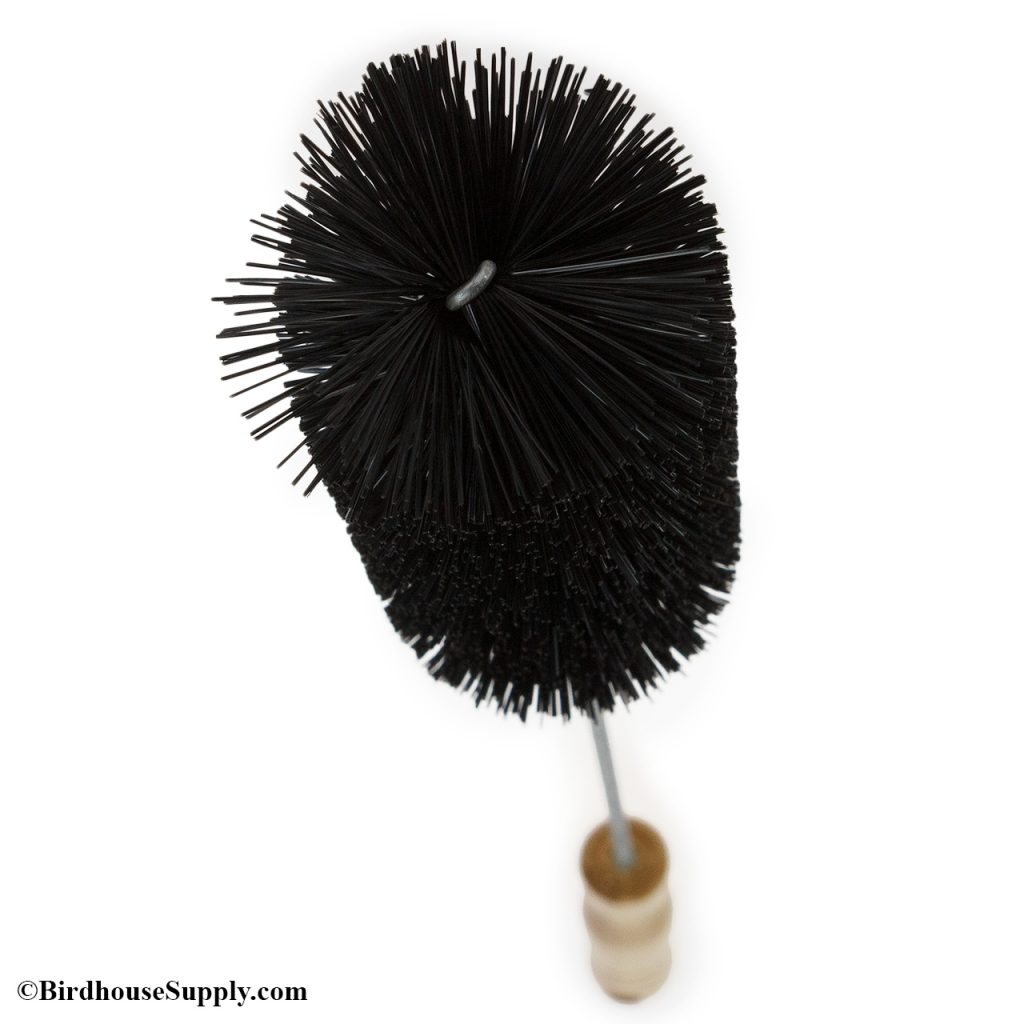 Easy Cleaning with Songbird Essentials Best Hummer Brush